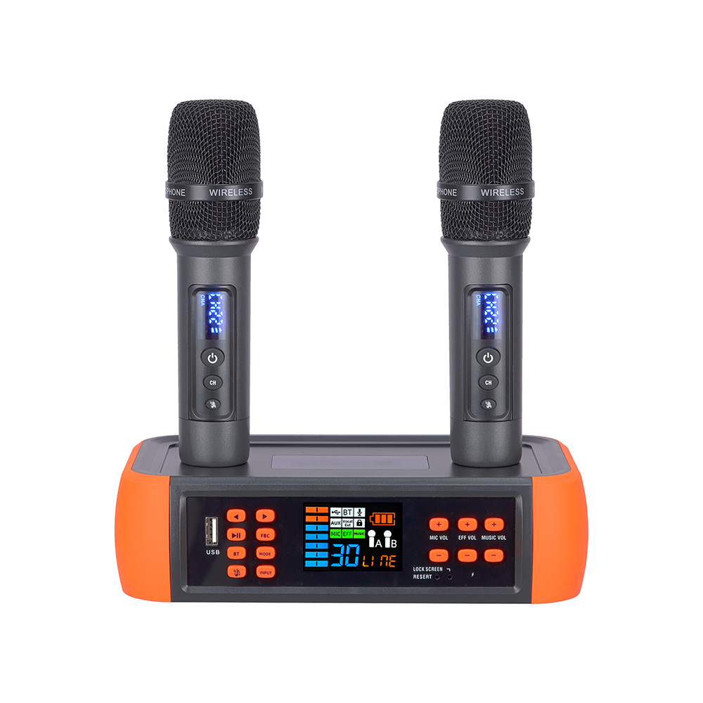 Digital Signal Processor Microphone