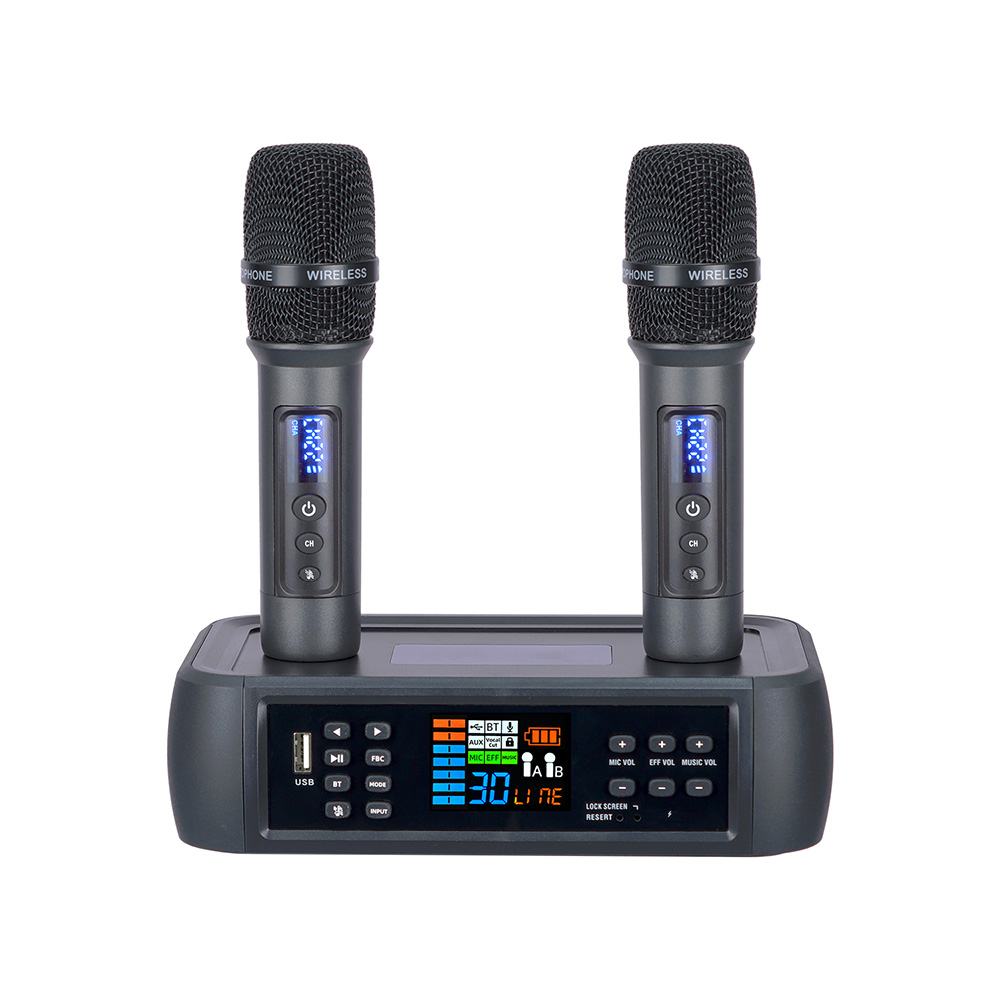 Digital Signal Processor Microphone